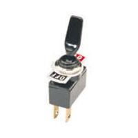 Paddle Switch With Indicator Plate 1 x On/Off 250Vac 1.5A